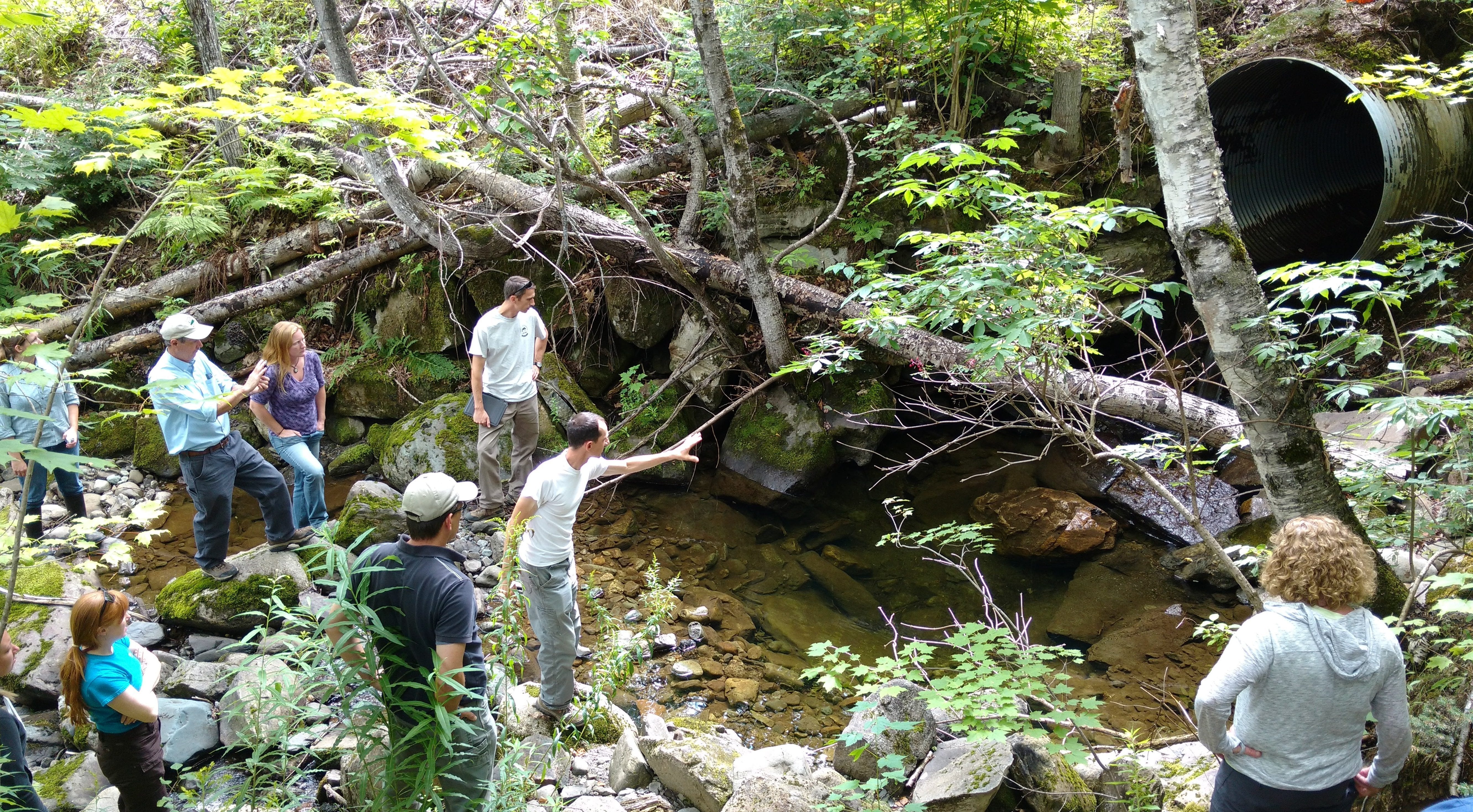 Stream Smart | Maine Audubon