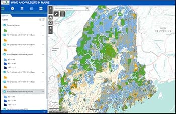 Wind Power & Wildlife | Maine Audubon